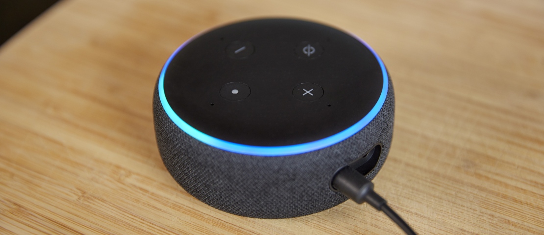 Alexa makes a difference in Brenda’s life. - Blind Low Vision NZ